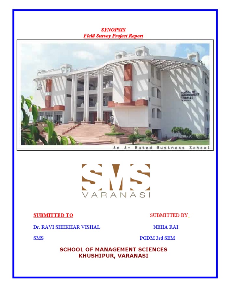 Synopsis by Neha Rai | PDF | American International Group | Insurance