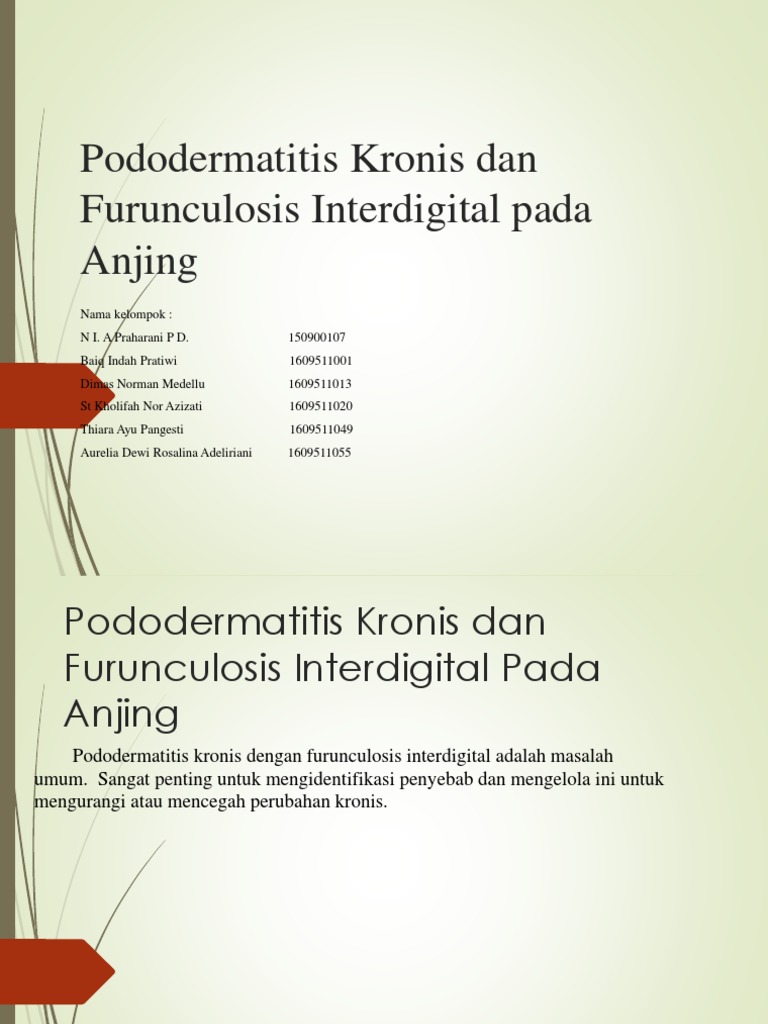 Pododermatitis | PDF
