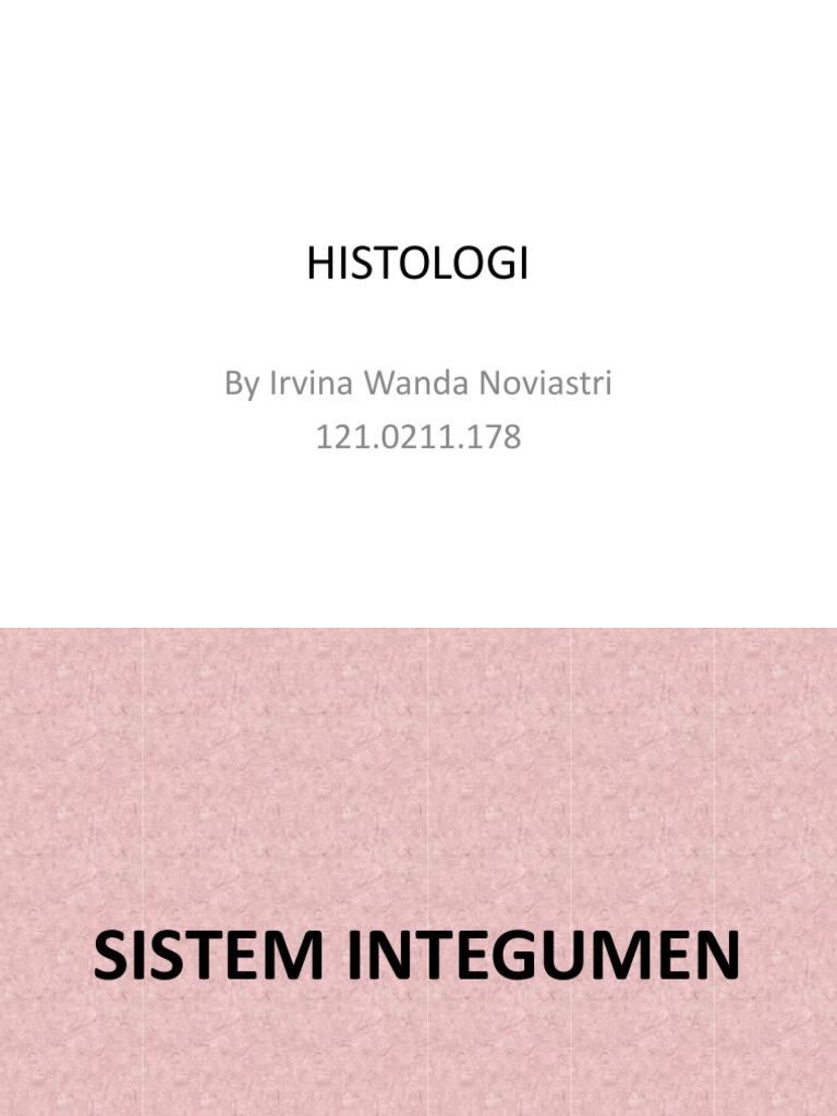 Histologi Sistem Integumen | PDF
