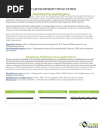 SorbaFix™ Absorbable Fixation System | PDF | Wound | Implant (Medicine)