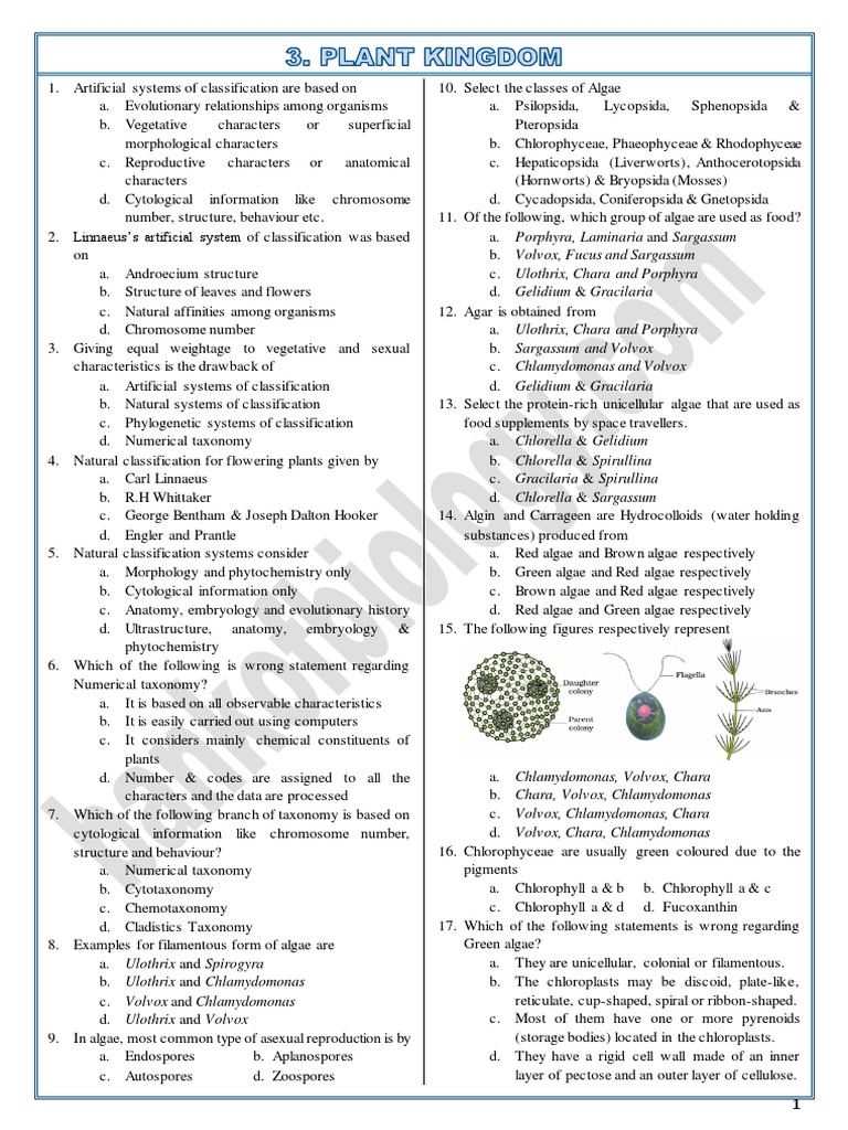 3 Plant Kingdom-Entrance Questions and Answers | PDF | Spore | Branches ...