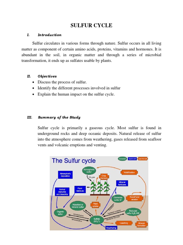 Sulphur Cycle Ppt
