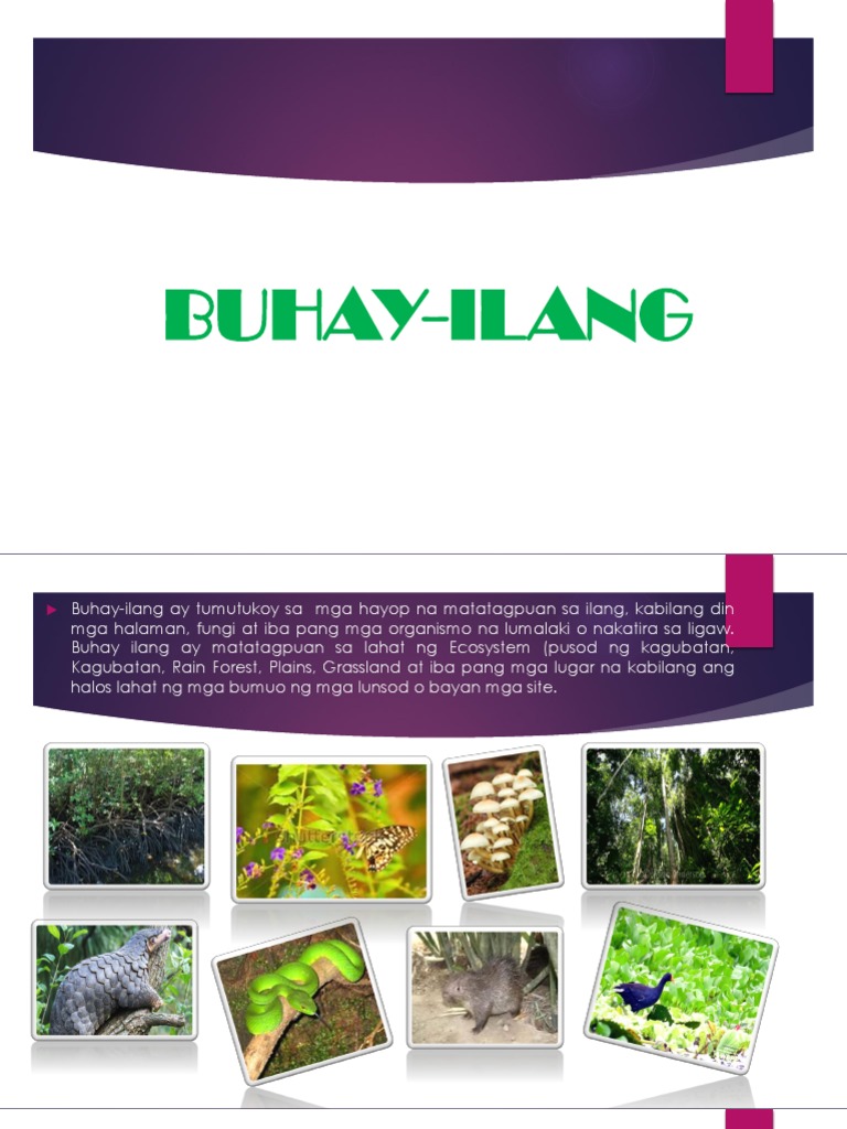 Ra 9147 Tagalog Presentation Final Pdf