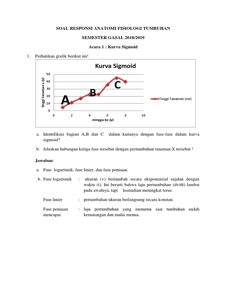 Soal Responsi Anfistum + Jawaban | PDF