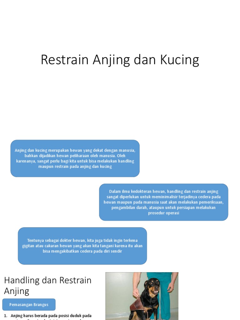 Restrain Anjing Dan Kucing | PDF