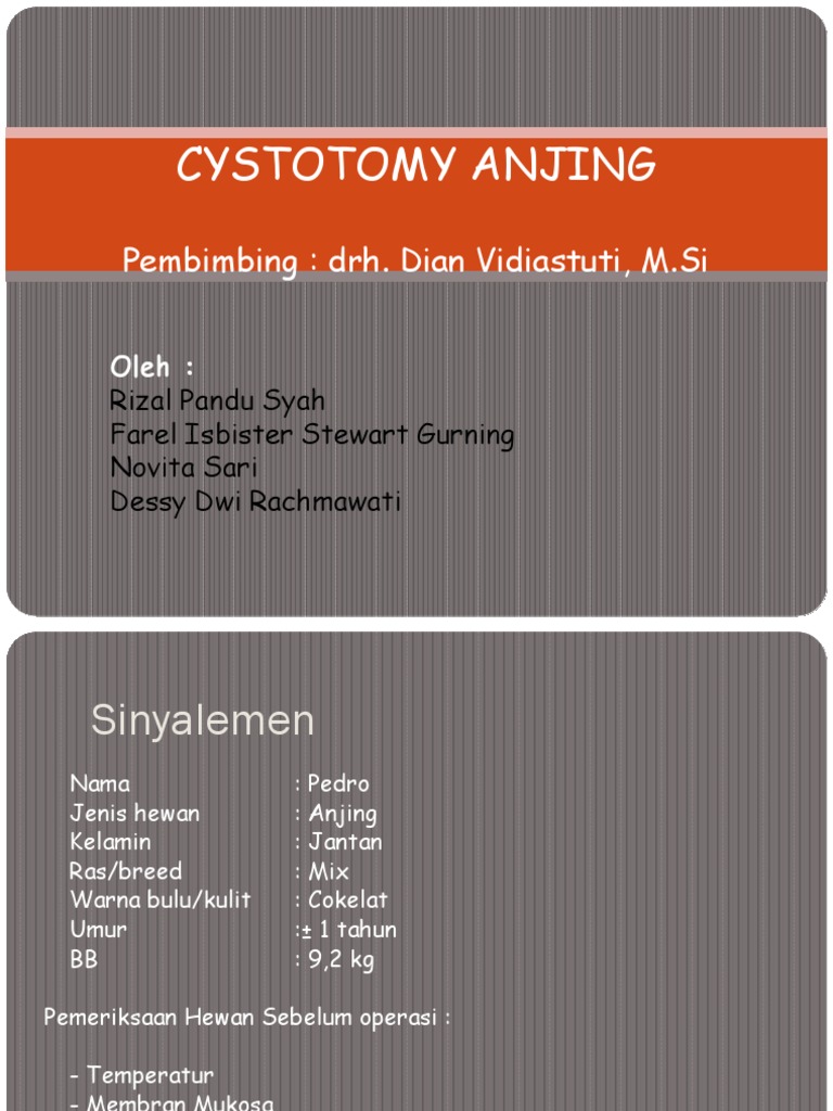 Cystotomy | PDF