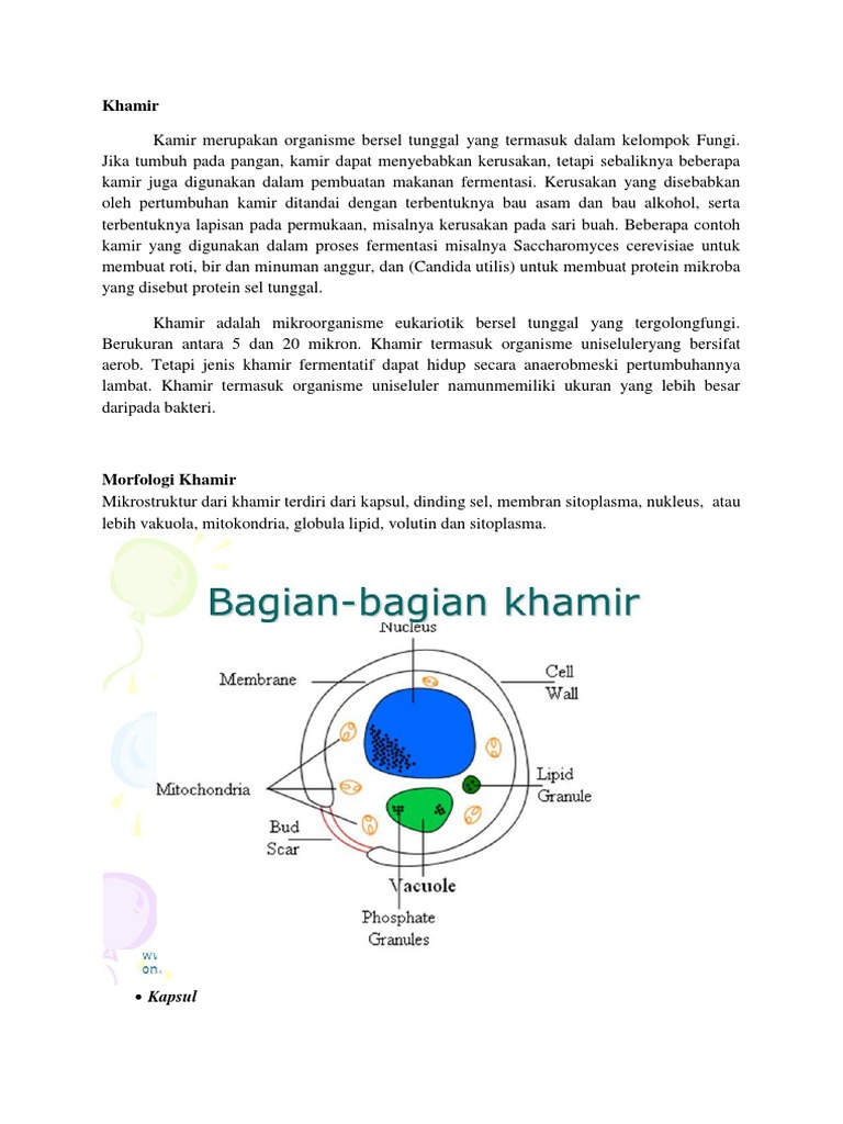 Khamir | PDF