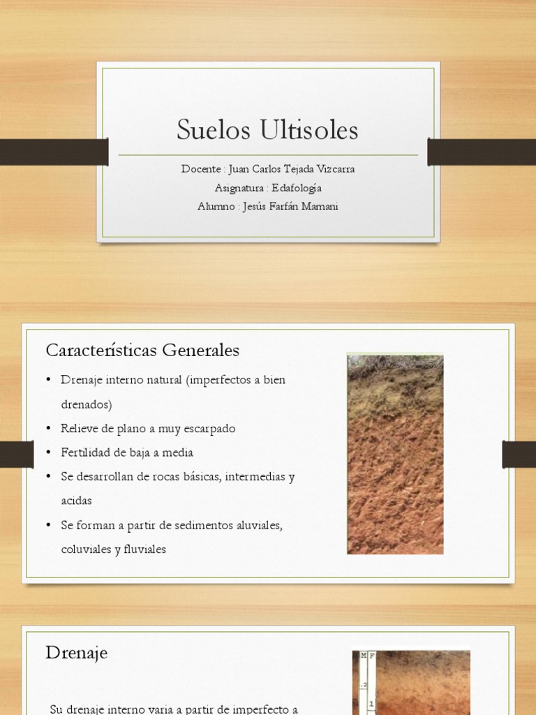 Características de los Suelos Ultisoles | PDF