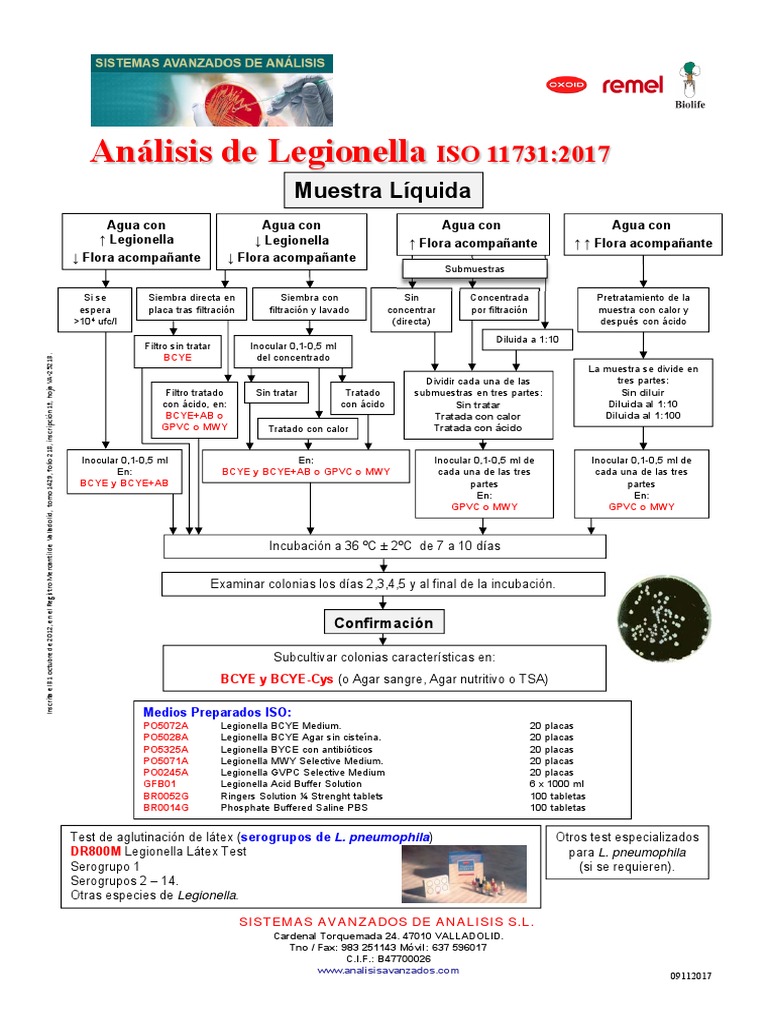 Análisis de Legionella según ISO 11731:2017 | PDF | Naturaleza | Salud ...
