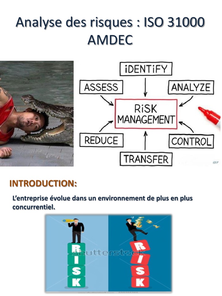 Analyse Des Risques | PDF | Risque | Gestion des risques