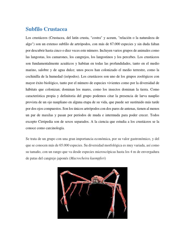 Subfilo Crustacea | PDF | Crustáceo | Artrópodos
