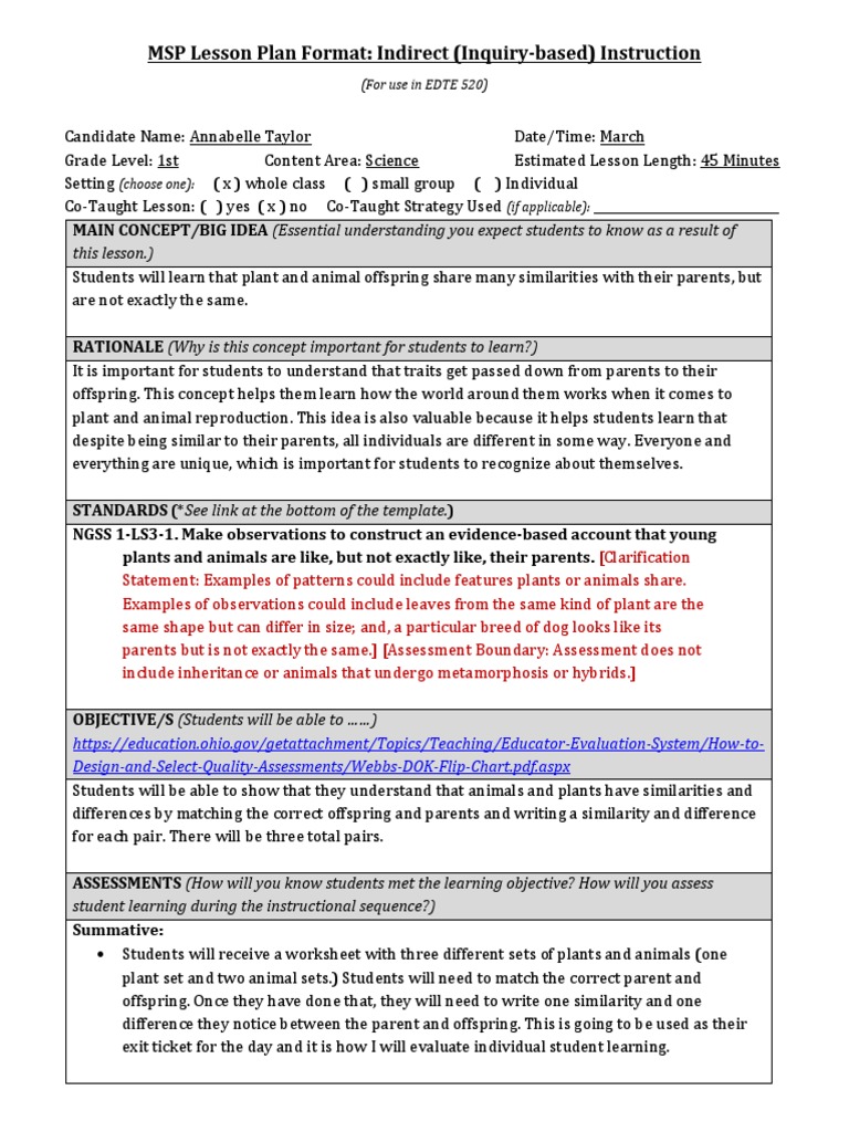 indirect instruction lesson plan | Lesson Plan | Learning