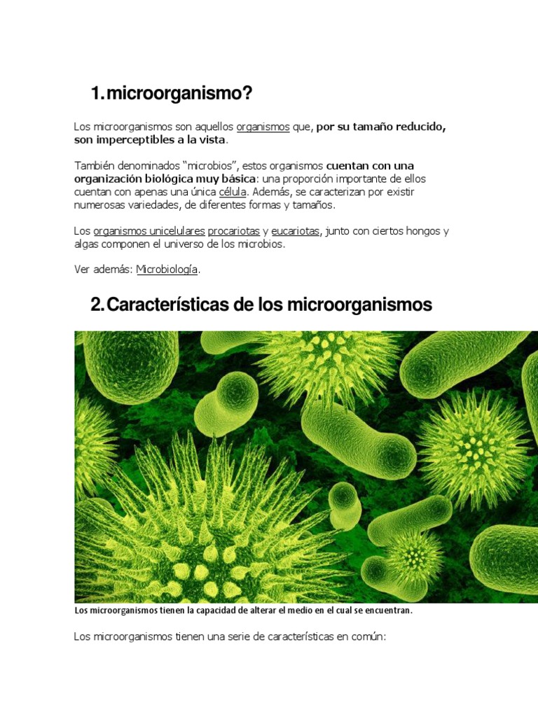 Microorganismo Patogenos | Microorganismo | Archaea