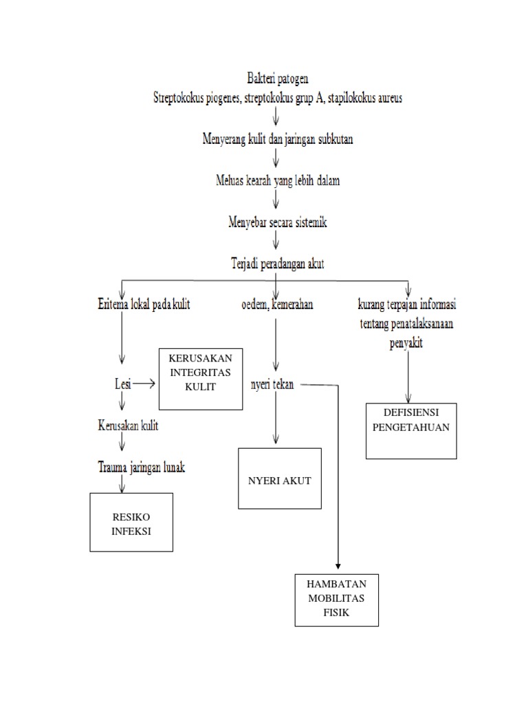 Pathway Selulitis | PDF