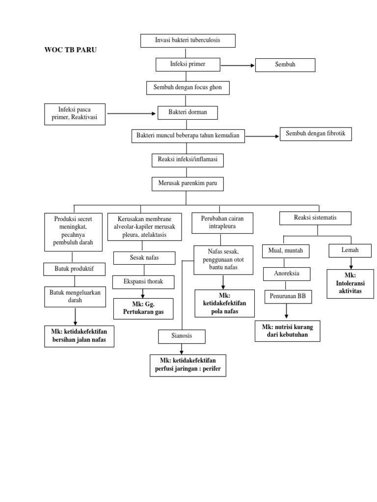 Woc TB Paru | PDF