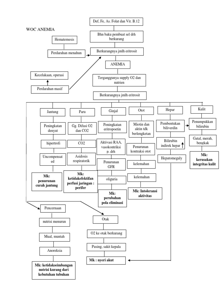 Woc Anemia | PDF