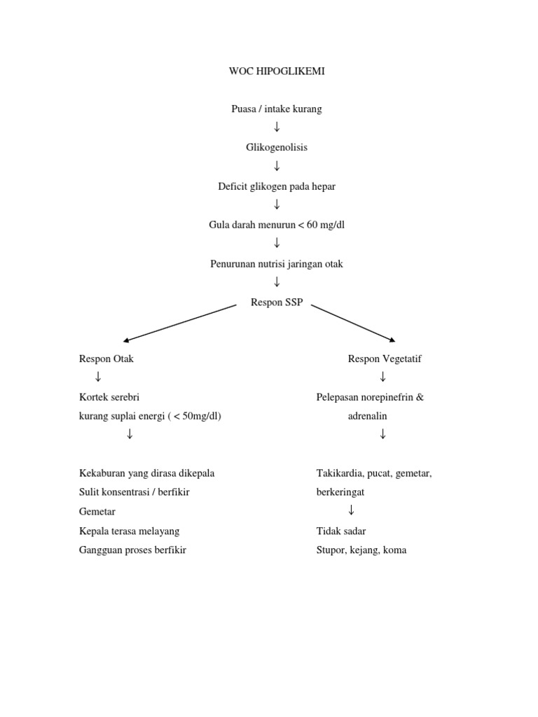 Woc Hipoglikemia | PDF
