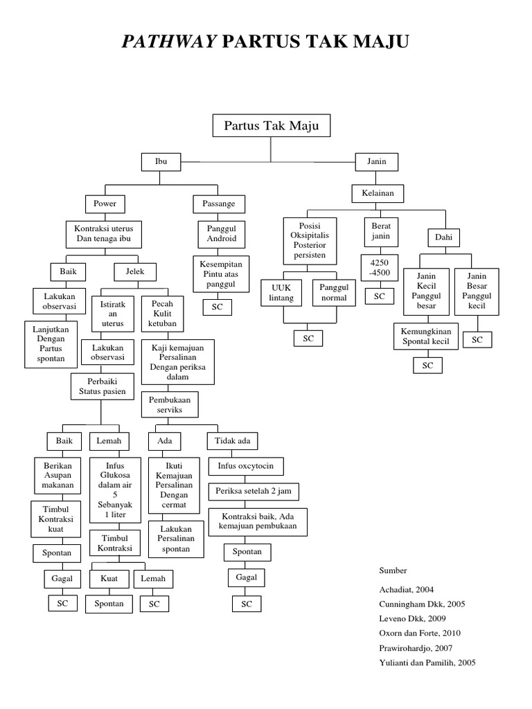 Pathway Partus Tak Maju | PDF