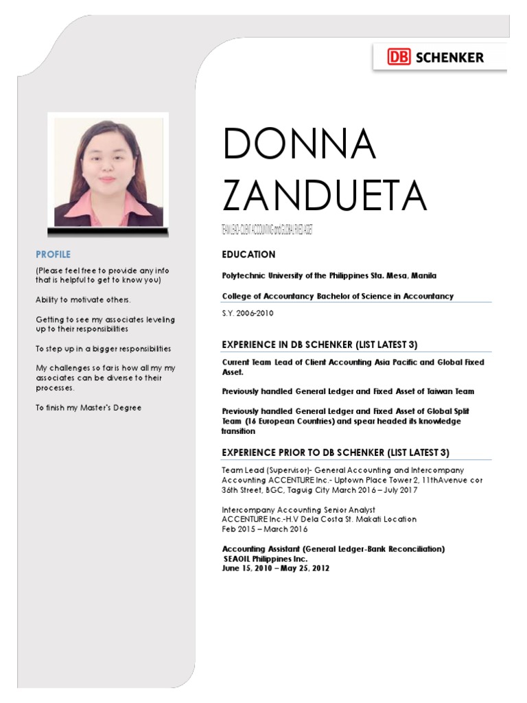 Mini CV Template | PDF