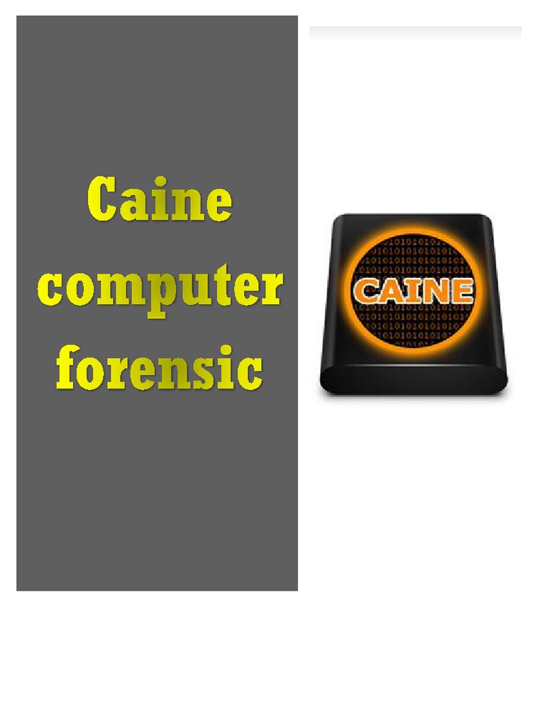 Guía de uso de CAINE para forense digital | PDF | Software | Tecnología ...