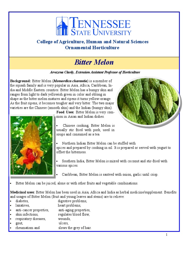 Bitter Melon Fact Sheet PDF | PDF | Cooking | Cuisine