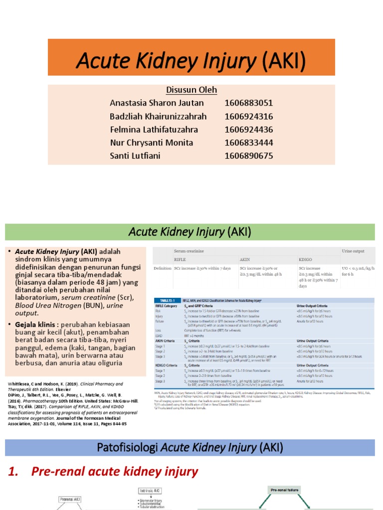 Acute Kidney Injury (AKI) | PDF | Urinary System | Urology