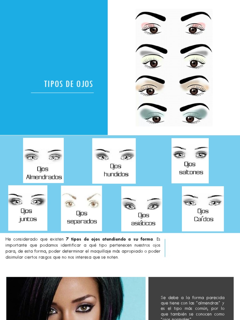 Tipos de Ojos | PDF | Ojo | Naturaleza