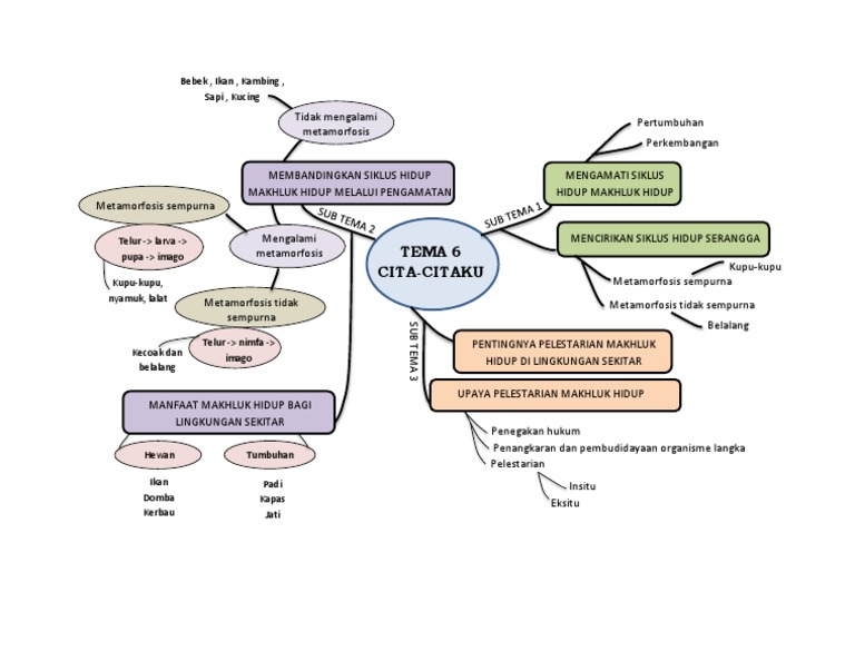 Tema 6 Mind Map | PDF