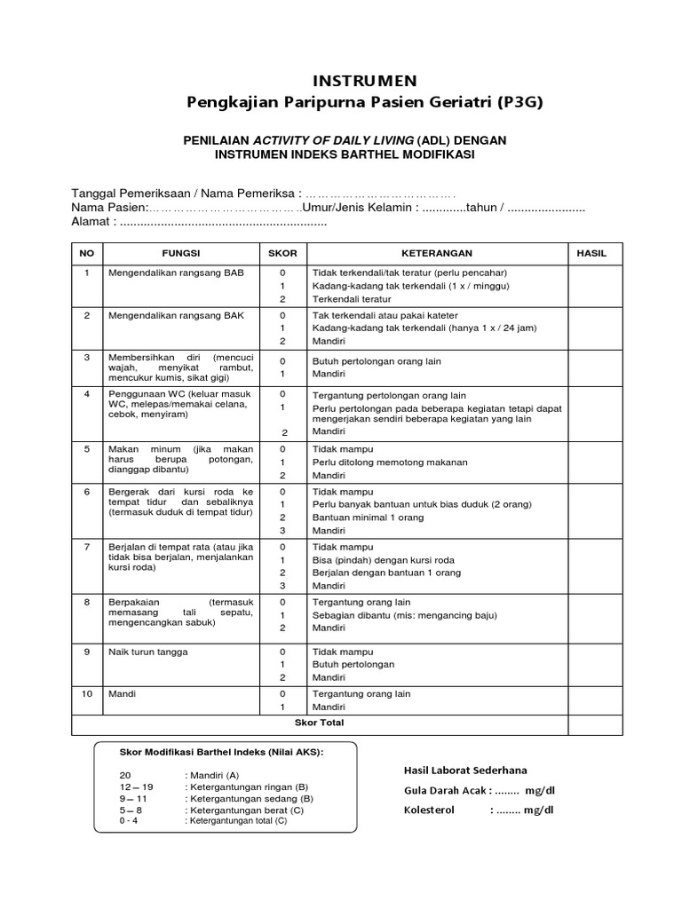 INSTRUMEN Skrining Lansia | PDF