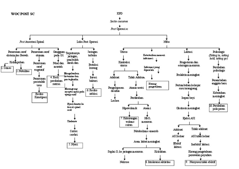 Pathway SC (Fix) | PDF