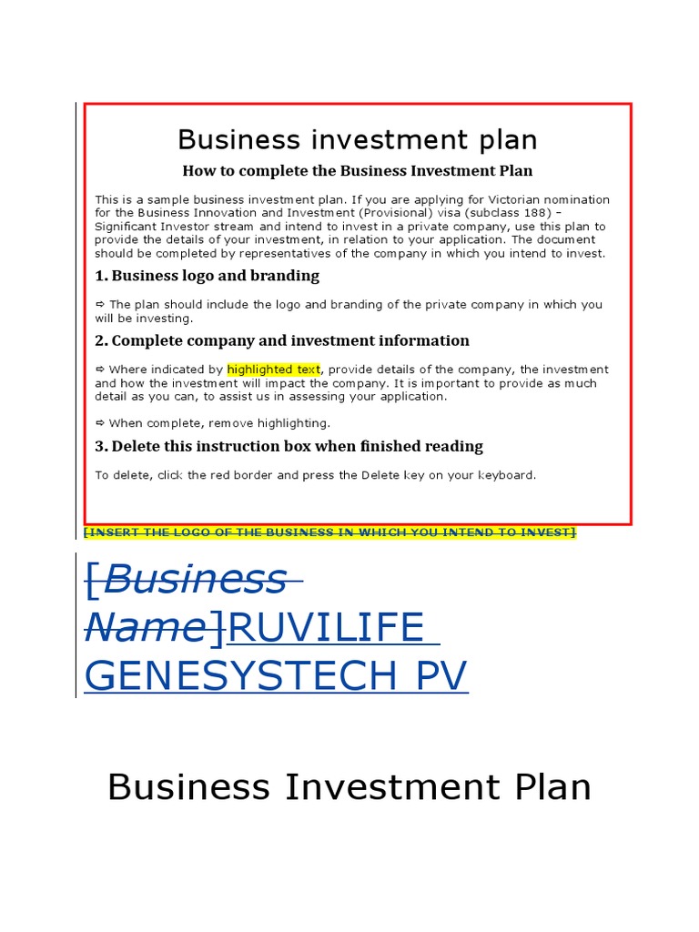 SIV Business Investment Plan Template | PDF | Investor | Investing