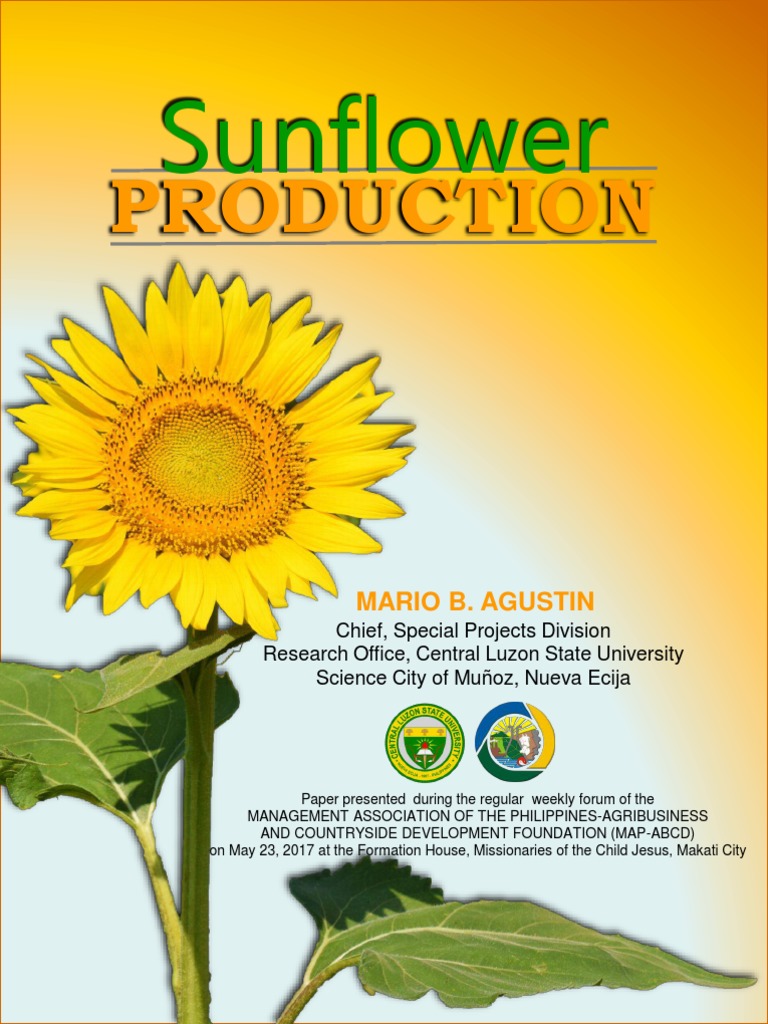 Sunflower Production (Final) PPT - Compressed PDF | PDF | Pollination ...