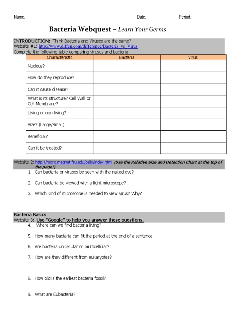 Bacteria vs. Viruses Webquest Guide | PDF | Bacteria | Archaea