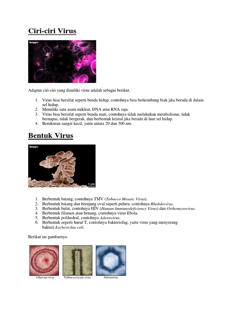 Ciri dan Bentuk Virus dalam Biologi | PDF