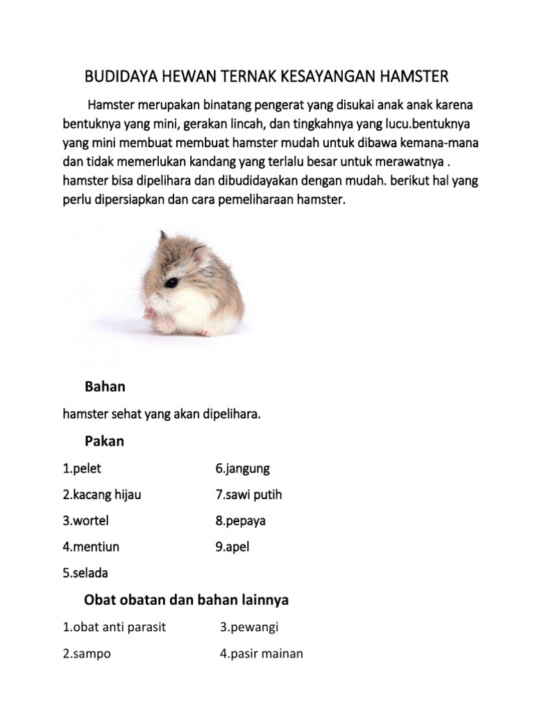 Budidaya Hewan Ternak Kesayangan Hamster | PDF