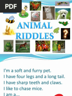 Animal Riddles Flashcards - 120389 | PDF