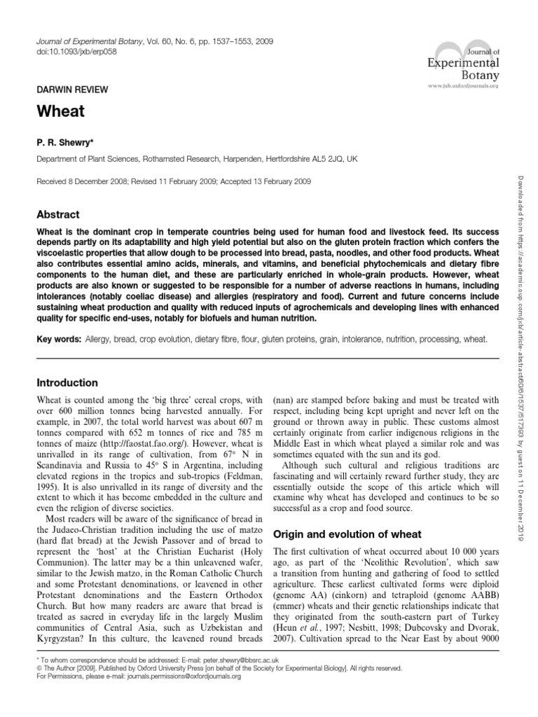 Wheat Research.. | PDF | Wheat | Whole Grain