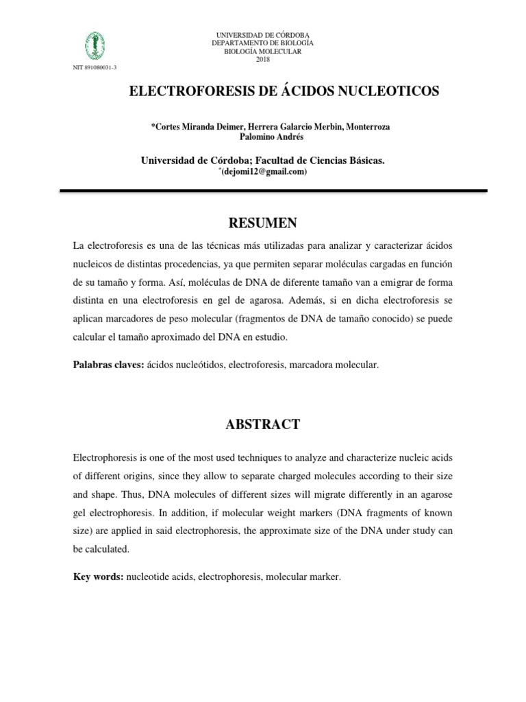 Informe Electroforesis | PDF | Electroforesis | Adn
