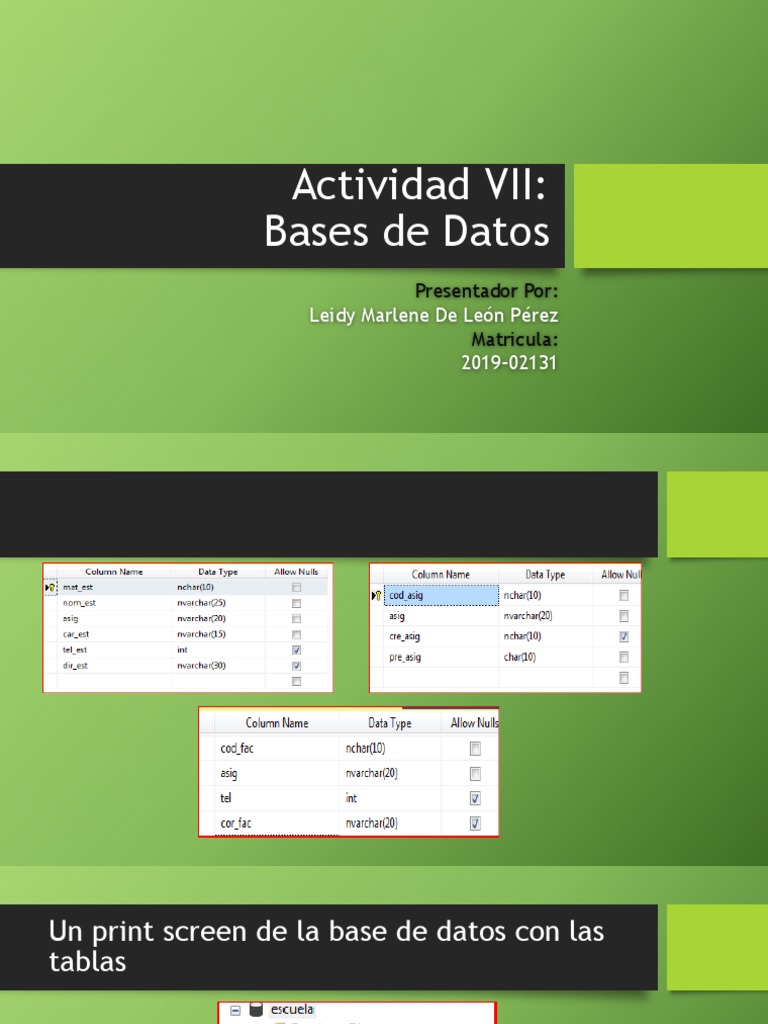 Tarea 7 Sistema de Bases de Datos | PDF