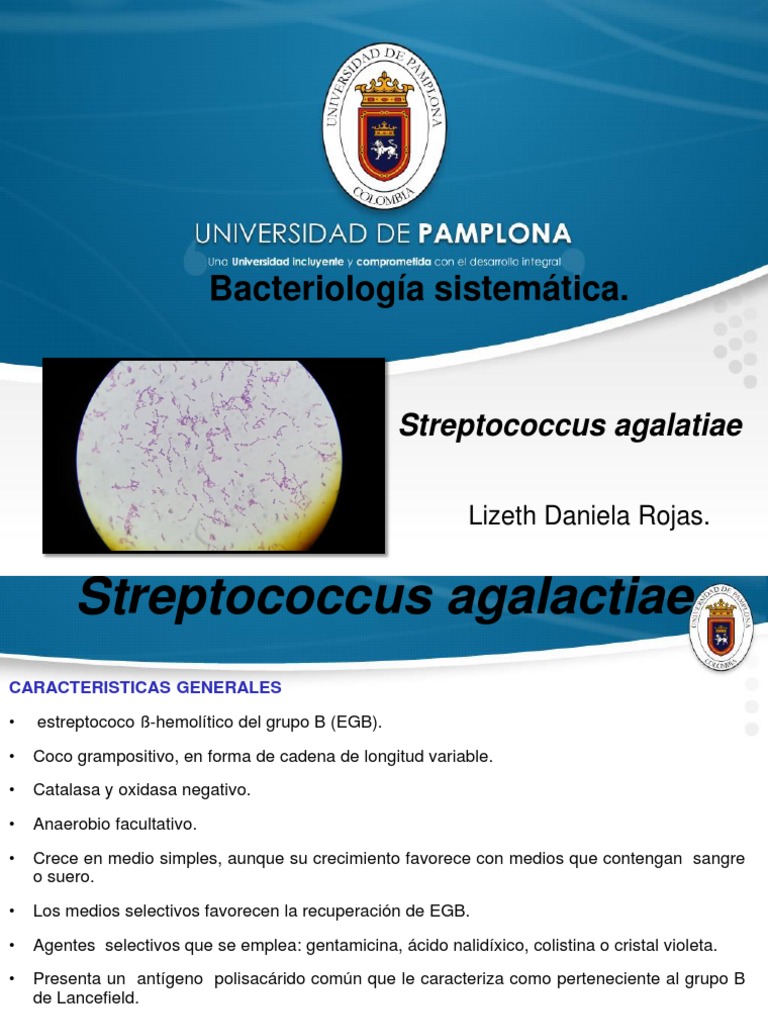 Steptococcus Agalactiae | PDF | Estreptococo | Inmunología