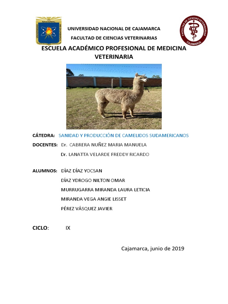 Informe Alpaca Macho | PDF | Incluso los ungulados de dedos | Naturaleza