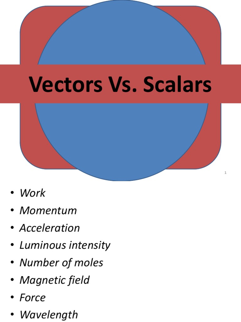 Graphing Vector and Scalar Quantities | PDF | Euclidean Vector | Physics