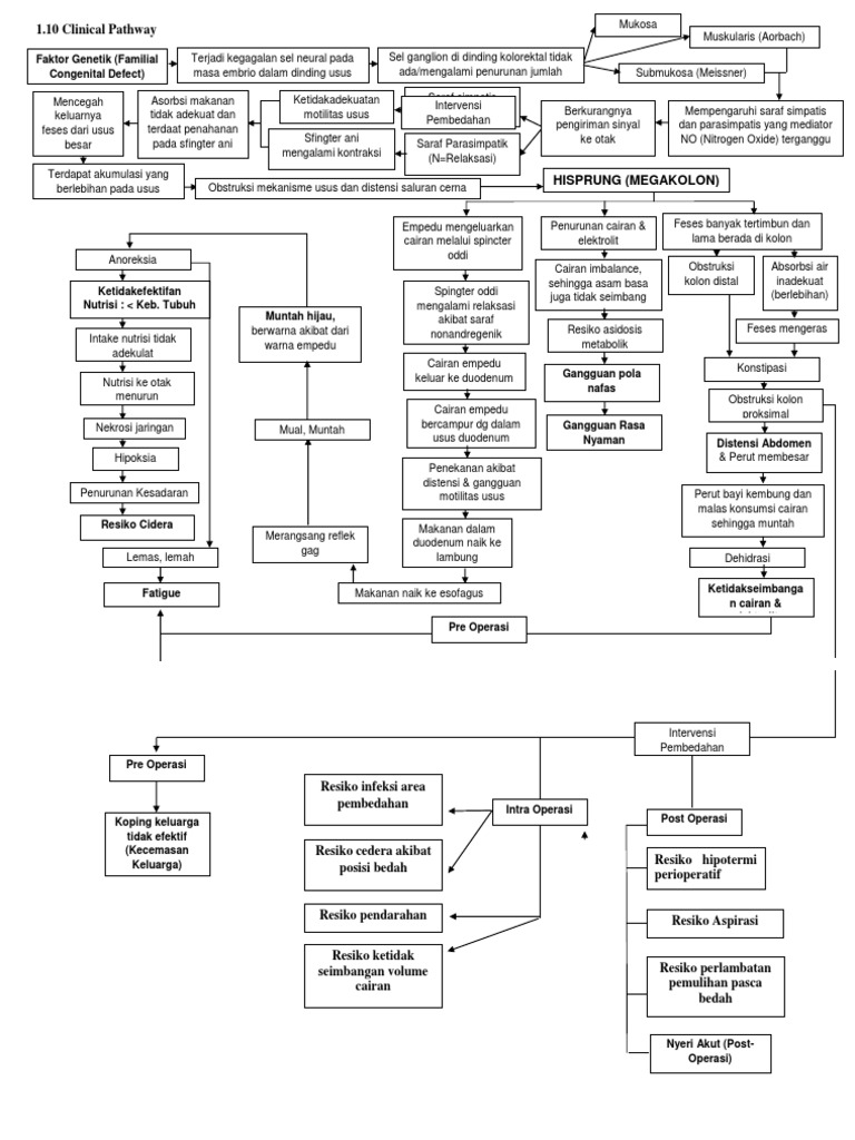 1.10 Clinical Pathway Hisprung | PDF