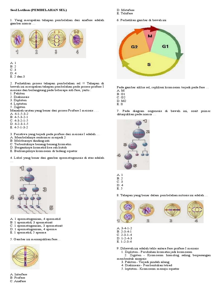 Soal Latihan PEMBELAHAN SEL | PDF