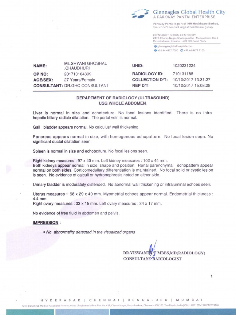 USG Report Abdomen | PDF