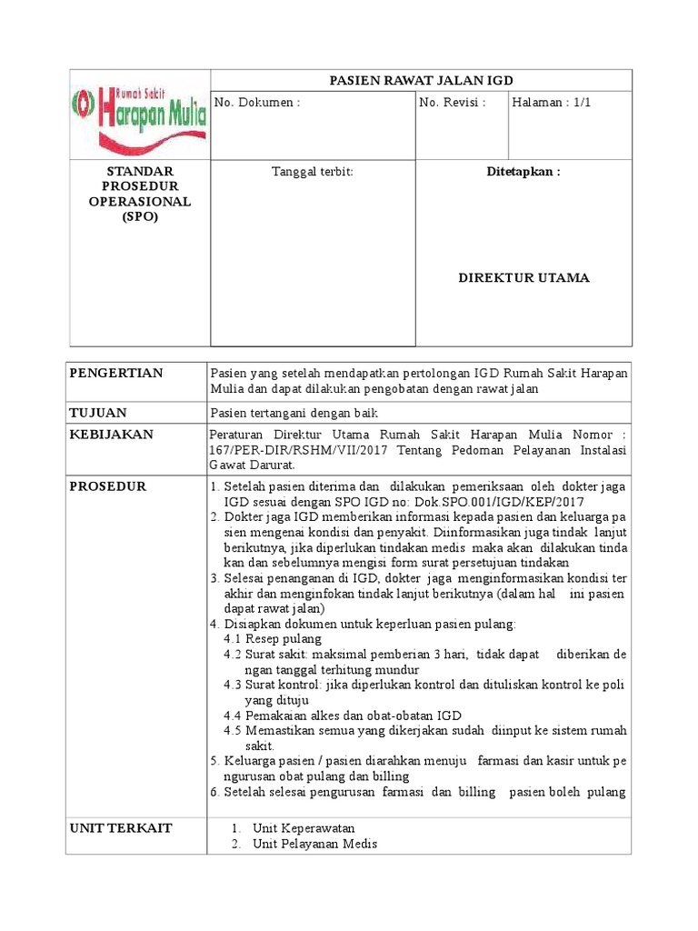 Contoh Data Pasien Rawat Jalan IGD | PDF