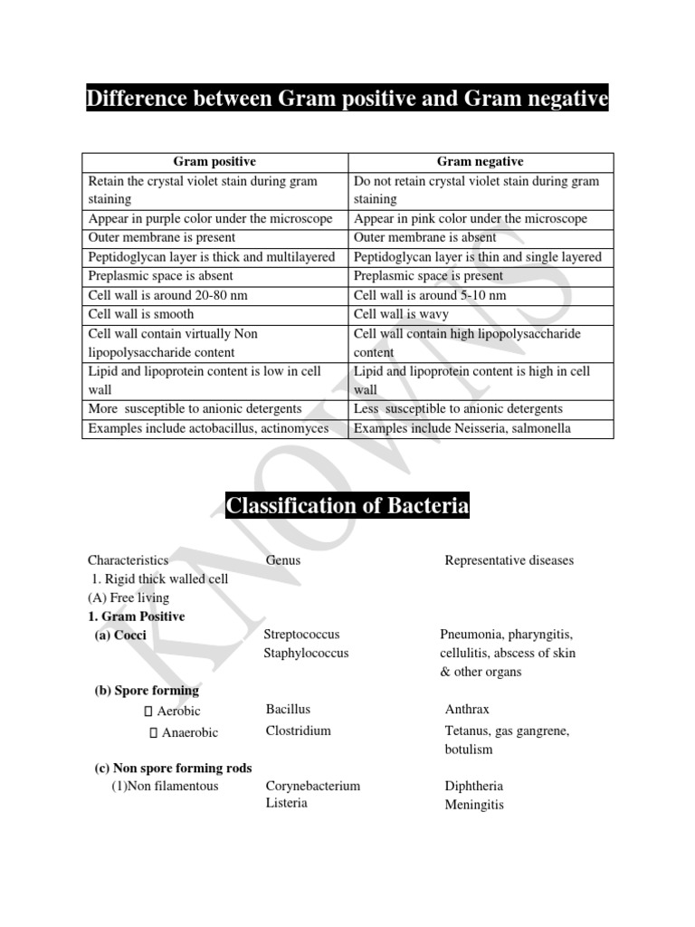 Classification Of Bacteria Download Free Pdf Gram Negative Bacteria