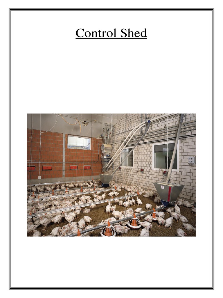 Control Shed | PDF | Poultry Farming | Broiler