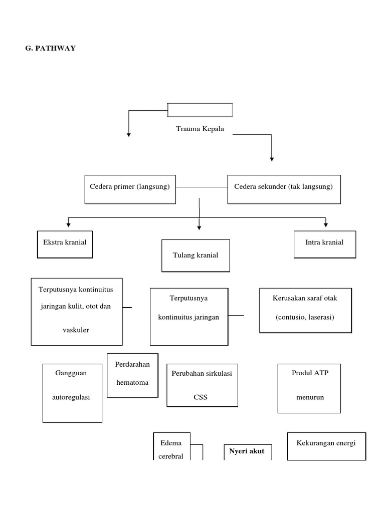 CKR Pathway | PDF