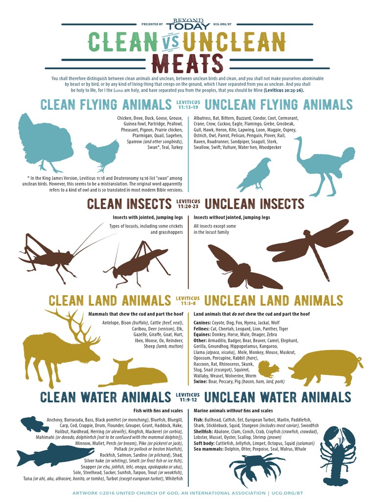 Infographic Clean Unclean Meats Color | PDF | Birds | Organisms